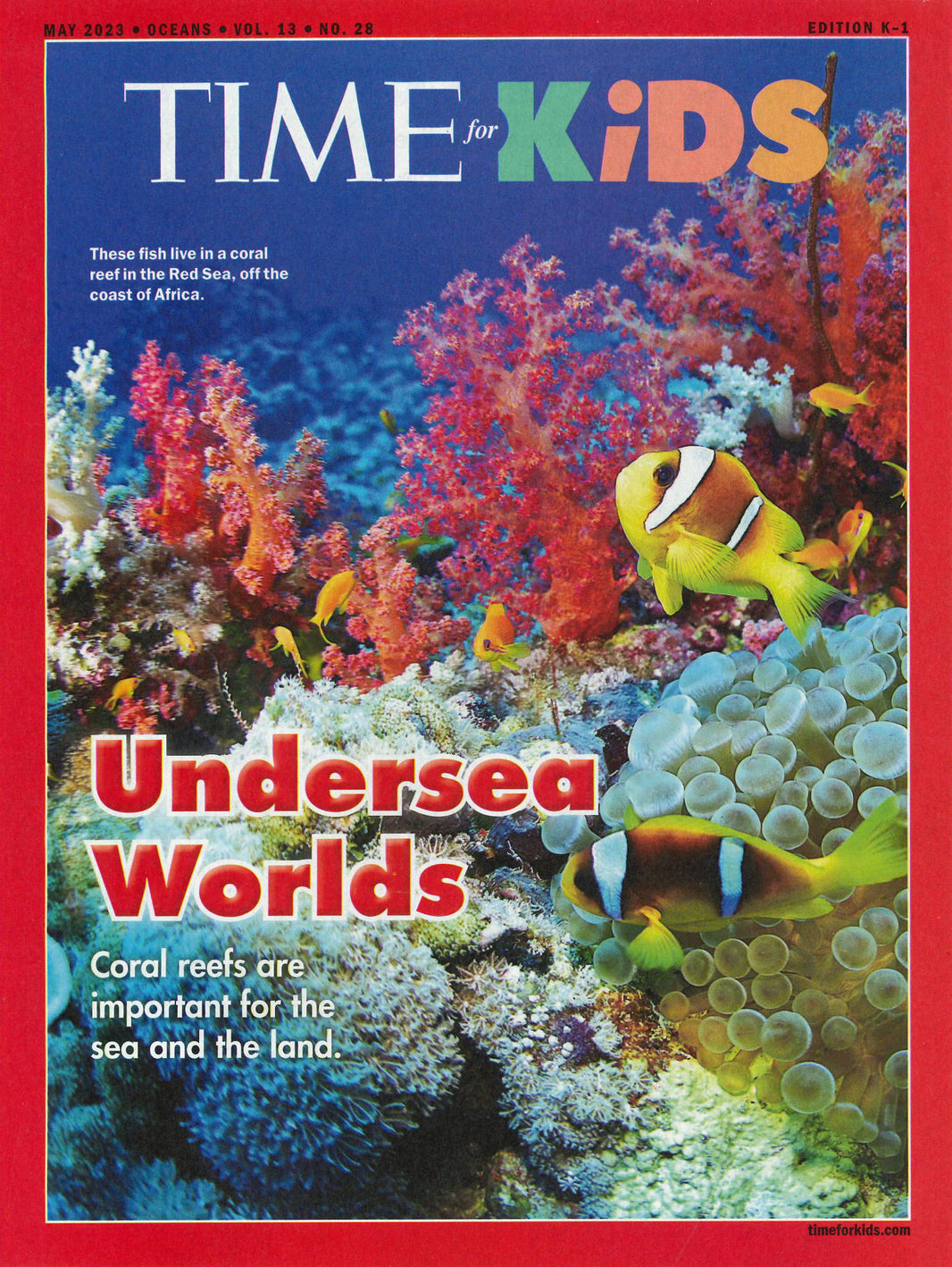 Kids & Teens Magazine Subscriptions – Total Magazines