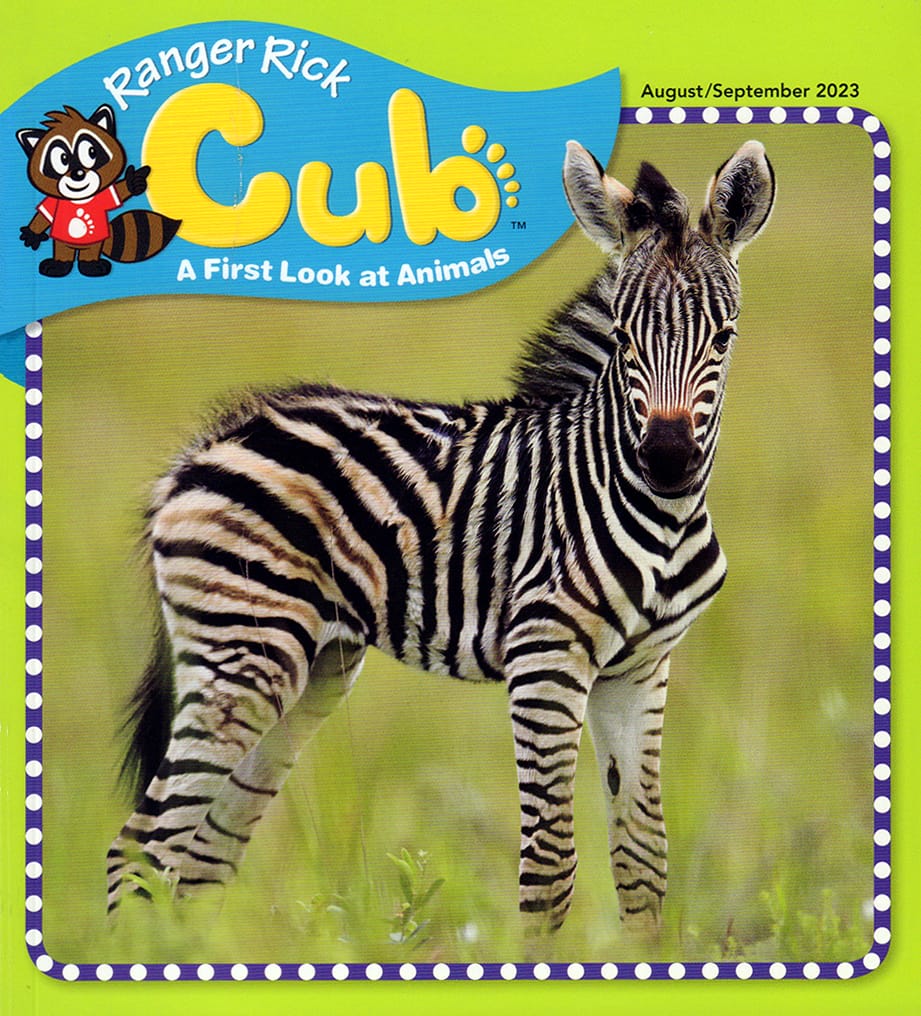 Ranger Rick Cub Magazine Subscription – Total Magazines