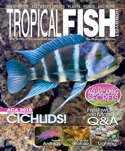 Tropical Fish Hobbyist Magazine Subscription – Total Magazines