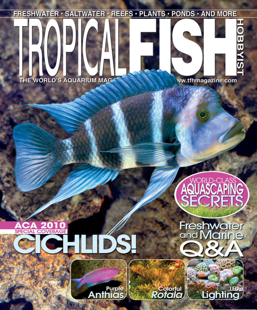 Tropical Fish Hobbyist Magazine Subscription – Total Magazines