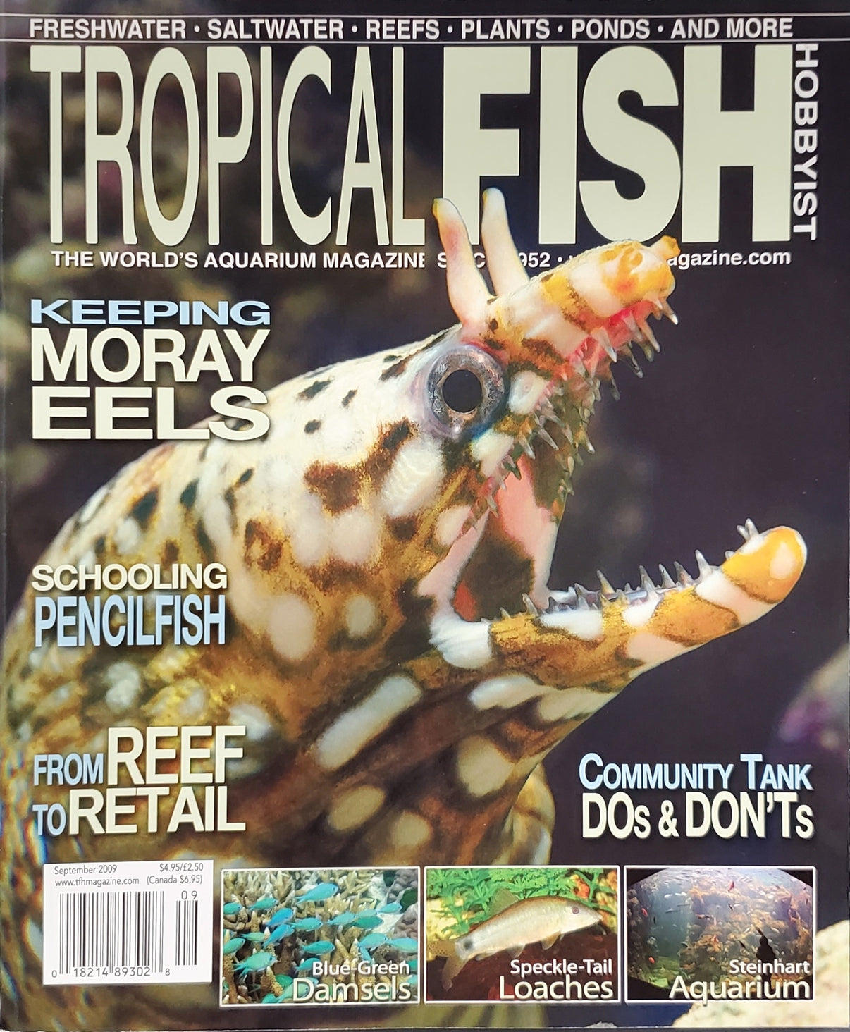 Tropical Fish Hobbyist Magazine Subscription – Total Magazines