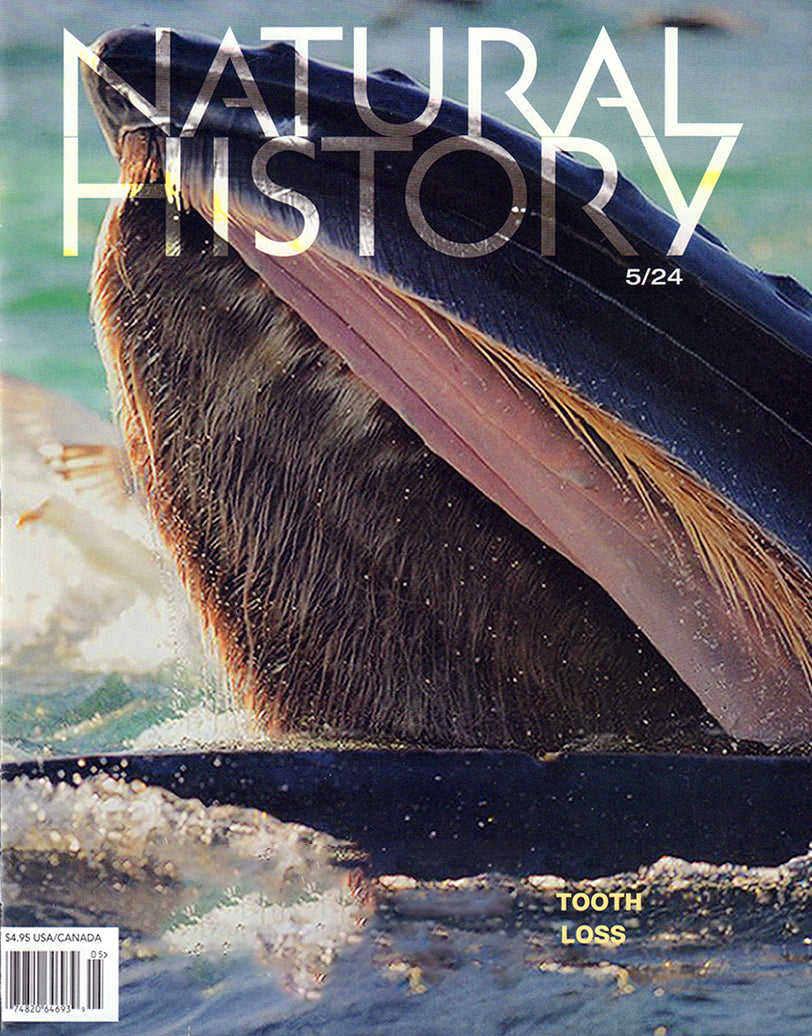 Natural History Magazine Subscription – Total Magazines