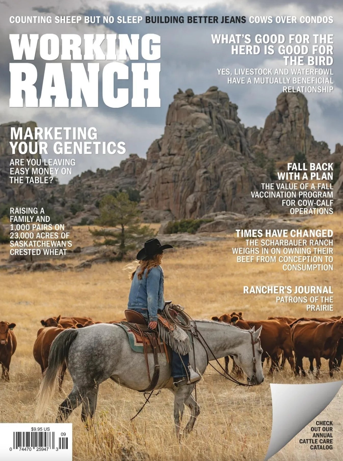 Working Ranch Magazine Subscription 1 Year Print - 6 Issues – Total ...