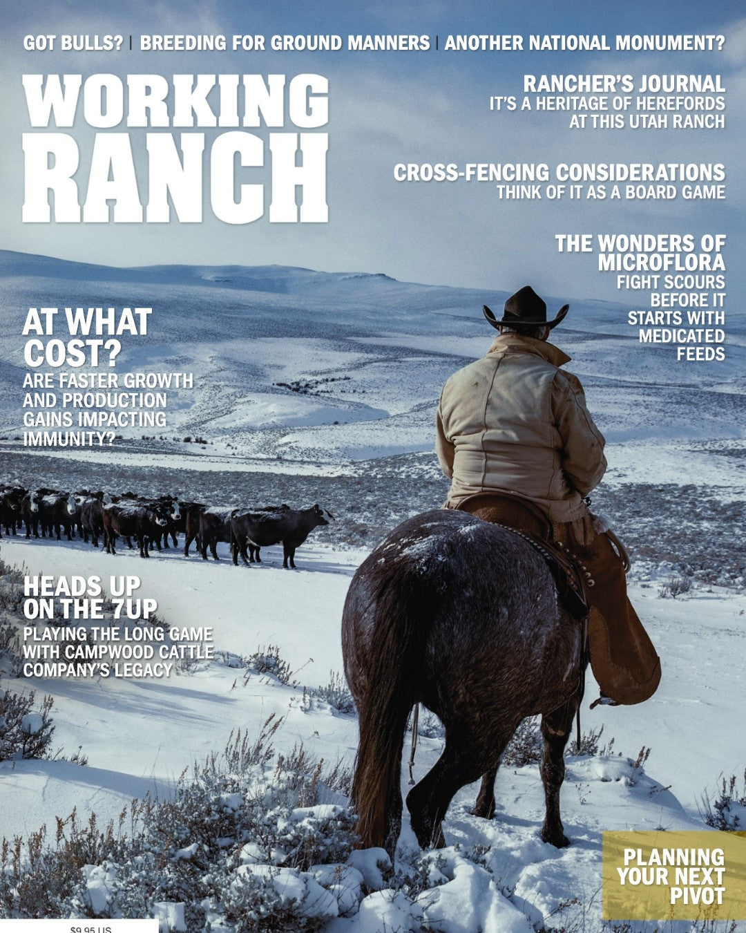 Working Ranch Magazine Subscription 1 Year Print - 6 Issues – Total ...
