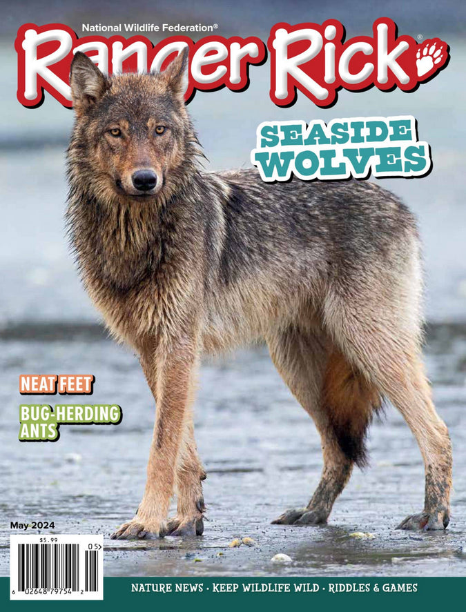 Ranger Rick Magazine Subscription – Total Magazines