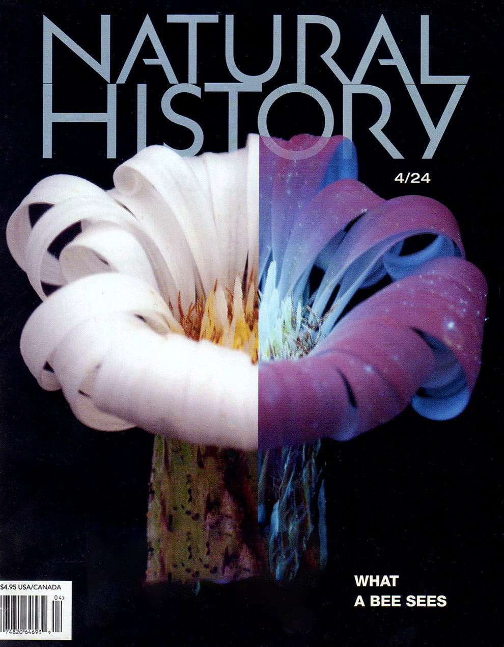 Natural History Magazine Subscription – Total Magazines
