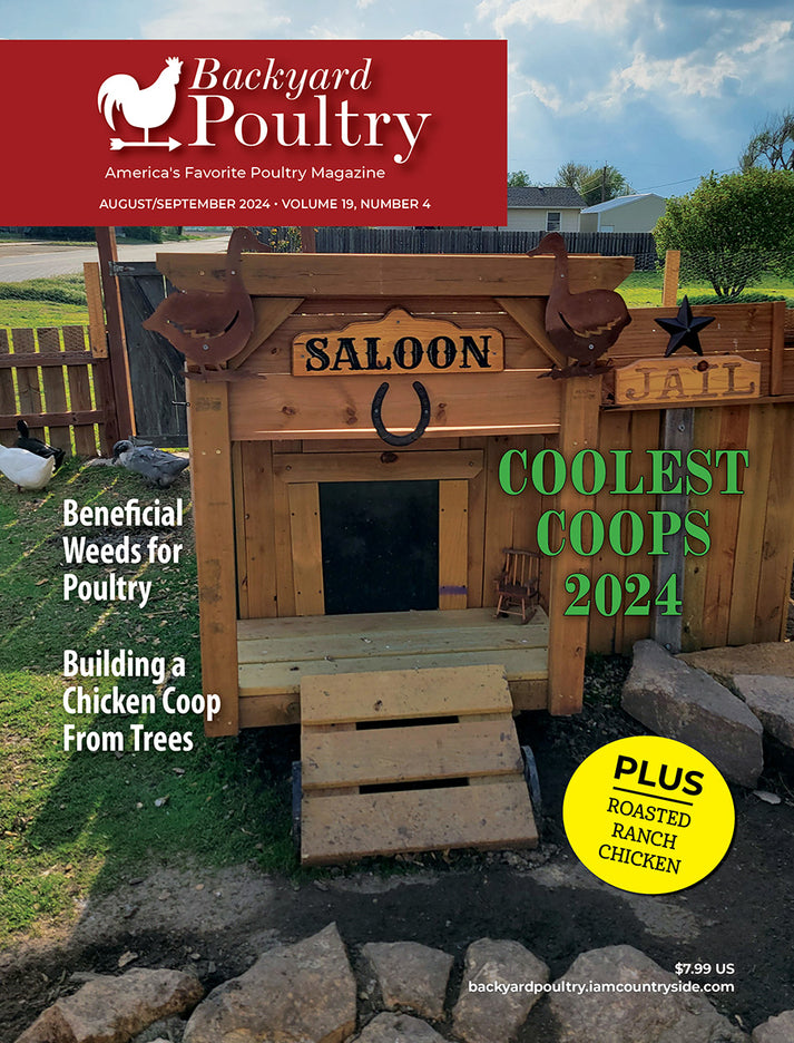 Backyard Poultry Magazine Subscription – Total Magazines