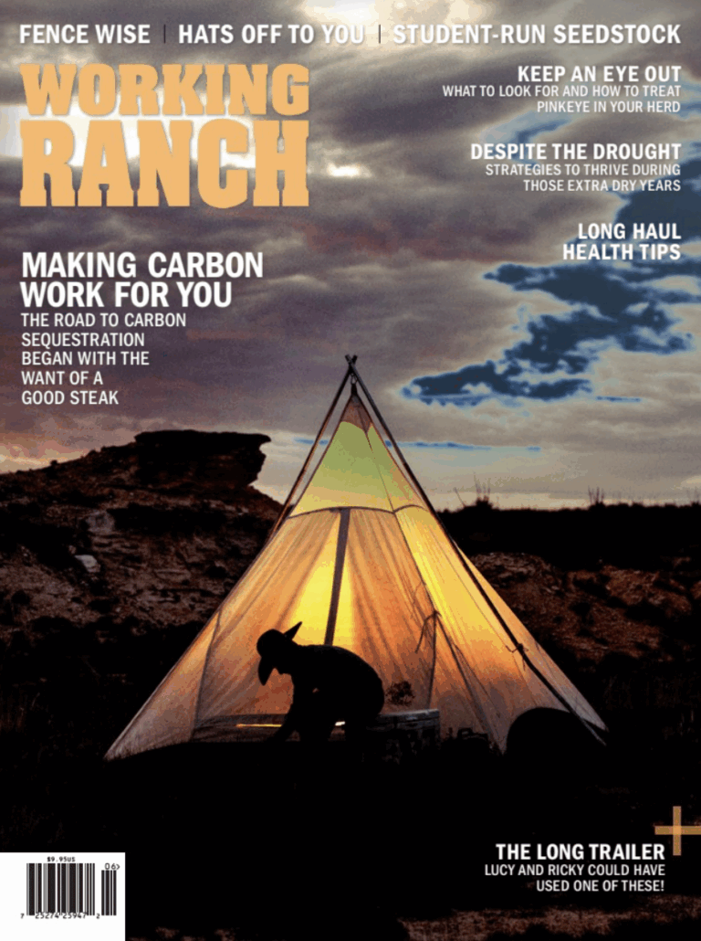 Working Ranch Magazine Subscription 1 Year Print - 6 Issues – Total ...