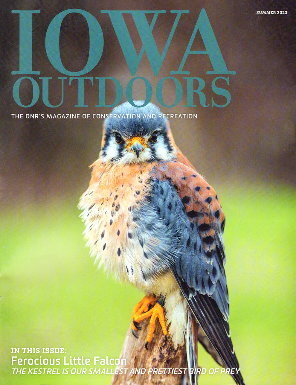 Iowa Outdoors Magazine Subscription – Total Magazines