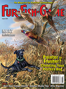 Fur Fish Game Magazine Subscription – Total Magazines
