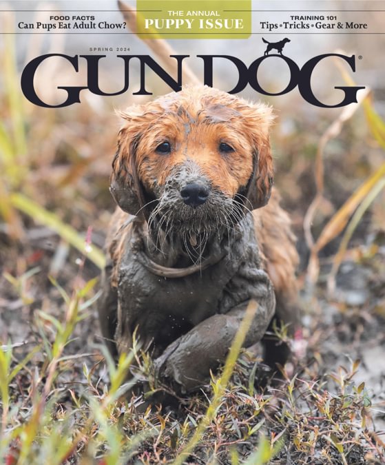 Gun Dog Magazine Subscription – Total Magazines