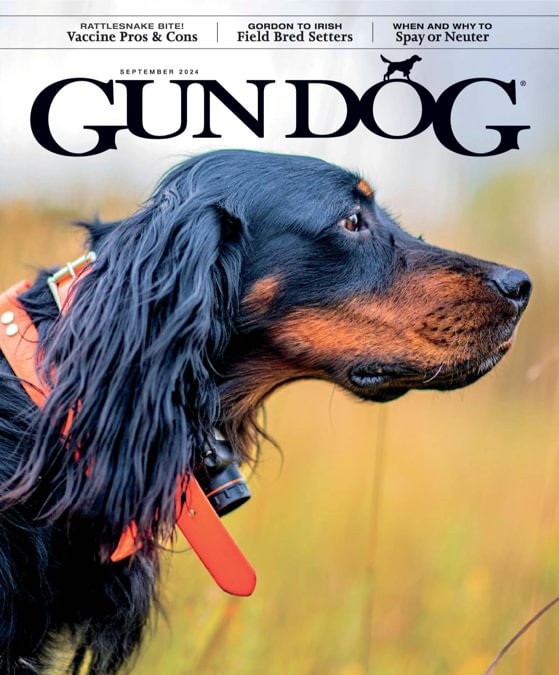 Gun Dog Magazine Subscription – Total Magazines
