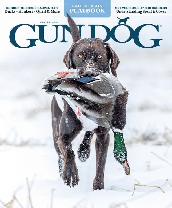 Gun Dog Magazine Subscription – Total Magazines