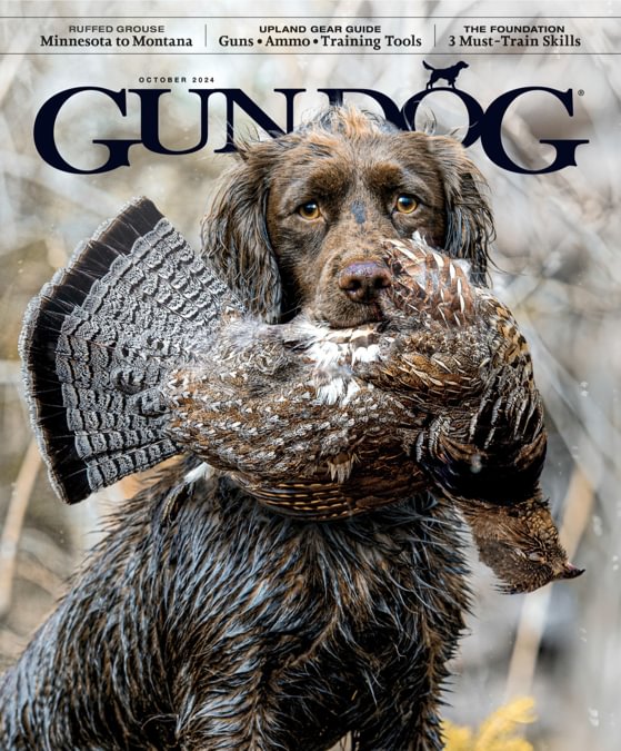 Gun Dog Magazine Subscription – Total Magazines
