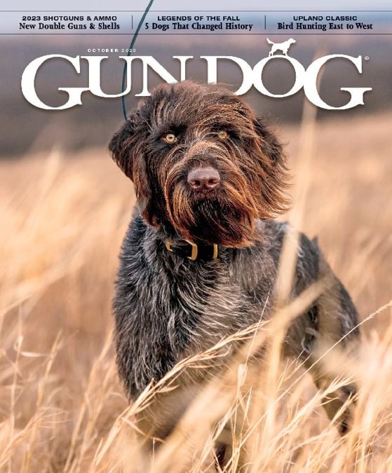 Gun Dog Magazine Subscription – Total Magazines