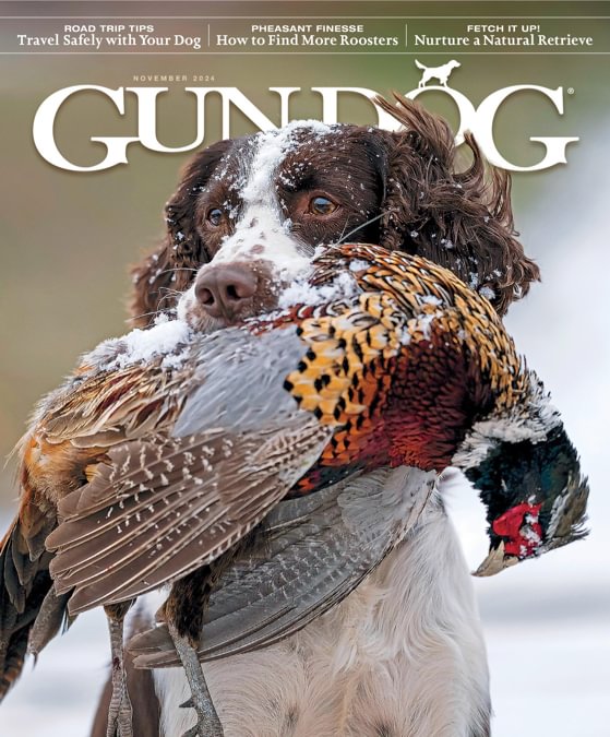 Gun Dog Magazine Subscription – Total Magazines