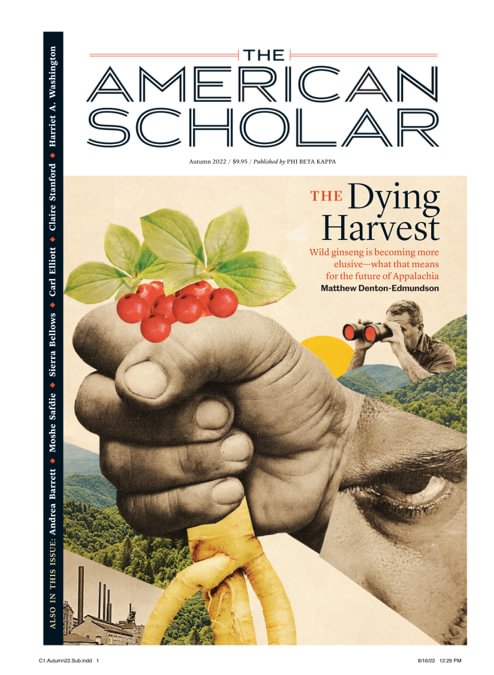 The American Scholar Magazine Subscription – Total Magazines