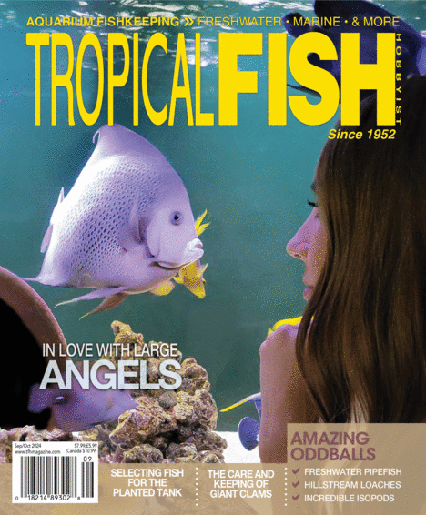 Tropical Fish Hobbyist Magazine Subscription – Total Magazines