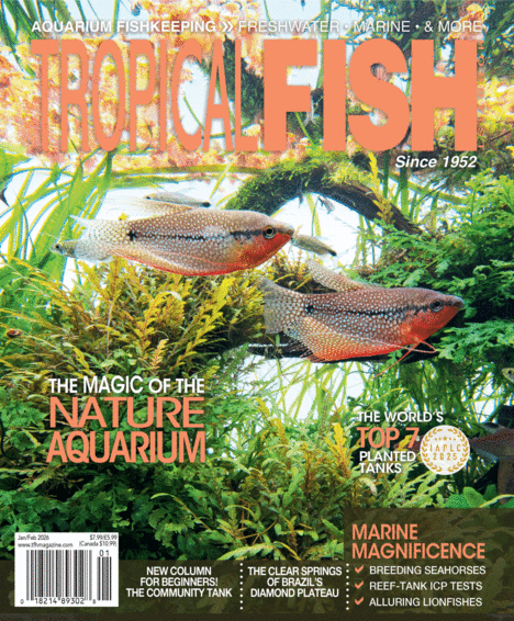 Tropical Fish Hobbyist Magazine Subscription – Total Magazines