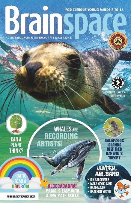 Brainspace Magazine Print Subscription – Total Magazines