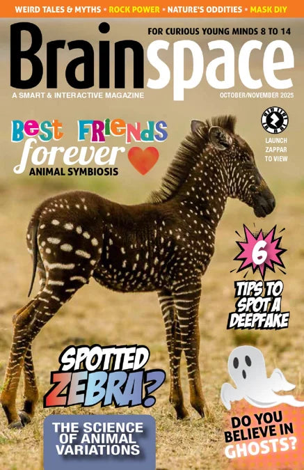 Brainspace Magazine Print Subscription – Total Magazines