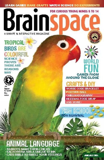Brainspace Magazine Print Subscription – Total Magazines