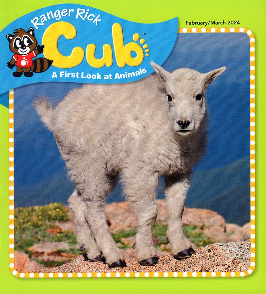 Ranger Rick Cub Magazine Subscription – Total Magazines