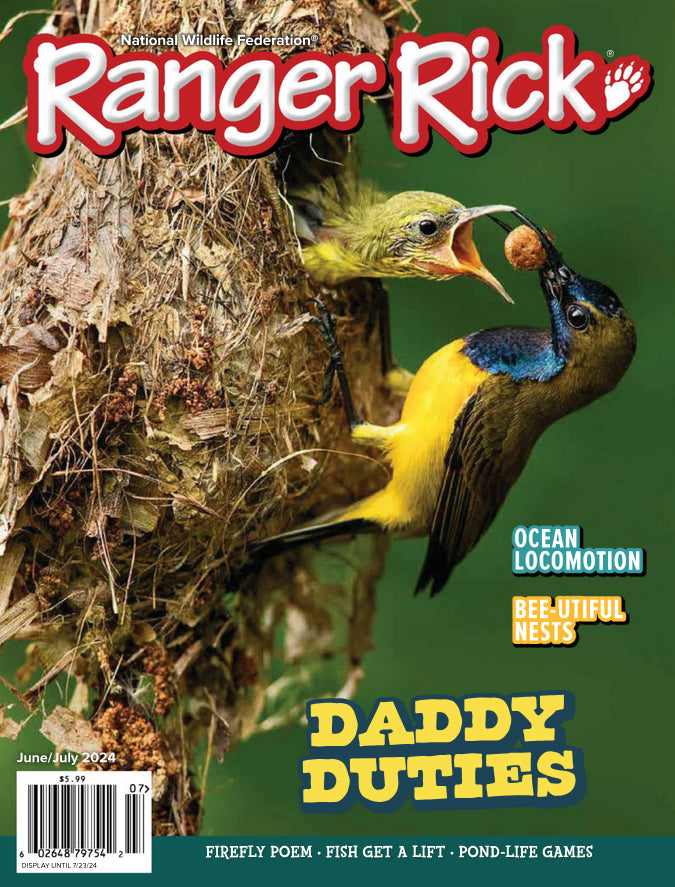 Ranger Rick Magazine Subscription – Total Magazines