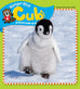 Ranger Rick Cub Magazine Subscription – Total Magazines