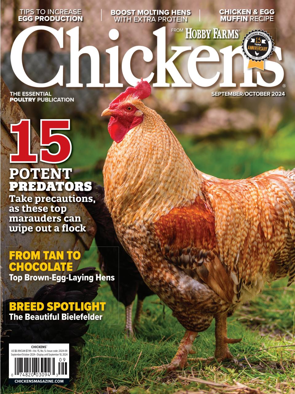 Chickens Magazine Subscription – Total Magazines